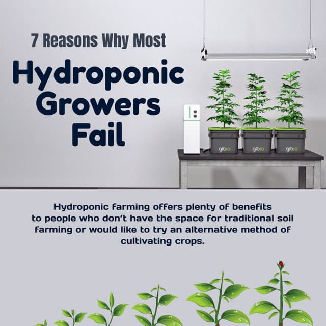 7 Reasons Why Most Hydroponic Growers Fail | PDF