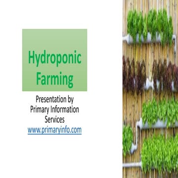 Hydroponic farming | PDF