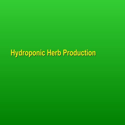 Hydroponic herb production 09 | PPT