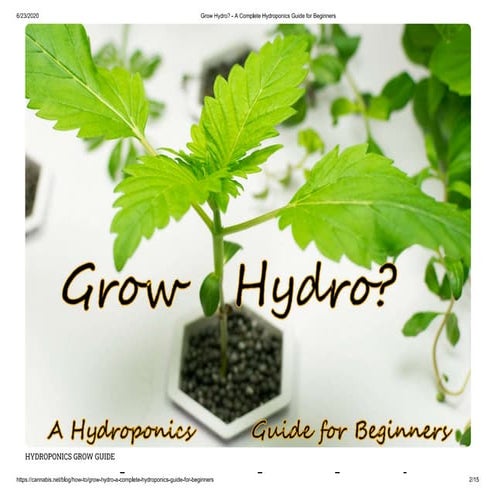 The Guide to Hydroponic Marijuana | PPT