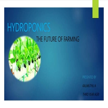 HYDROPHONICS | PPT