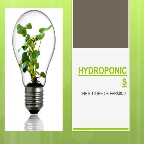 Hydroponics | PPT