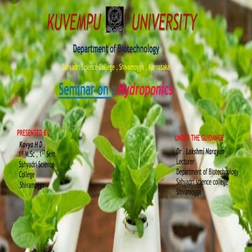 hydroponics-200418075358 (1).pdf
