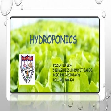 Hydroponics | PPTX
