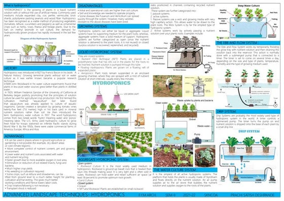 Hydroponics PPT.pdf