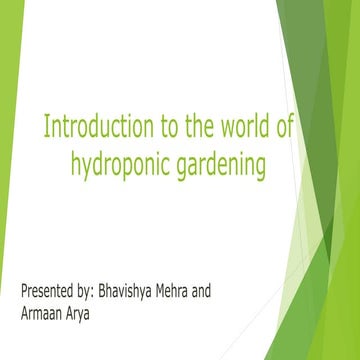 hydroponics.ppt.pptx