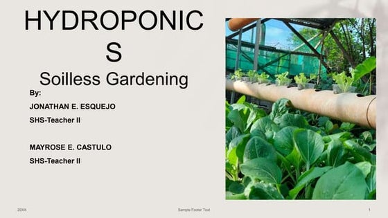 Hydroponics | PPT