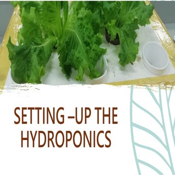 Laboratory in Plant Physiology (Third Year) | PPT