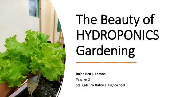 Hydroponics PPT.pdf