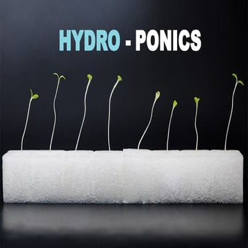 HYDROPHONICS | PPT