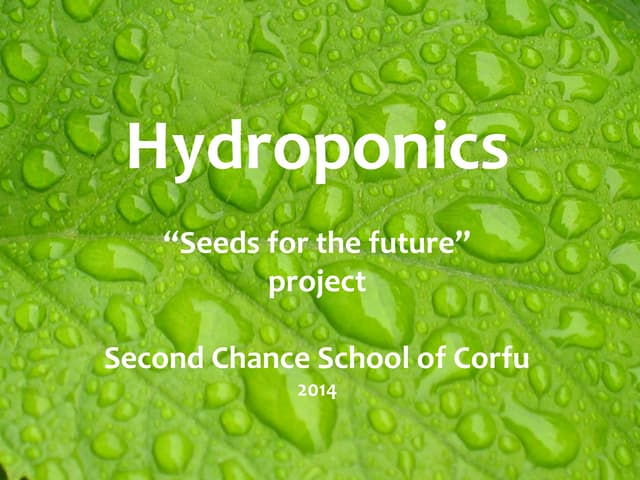 Hydroponics ppt | PPTX