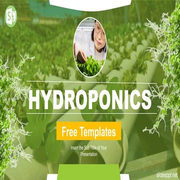 Hydroponics-Template-slidesppt.net_.pptx