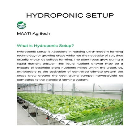 Hydroponic setup | PDF