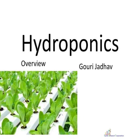 Hydroponics overview | PDF