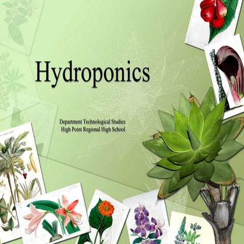 hydroponicsppt.ppt
