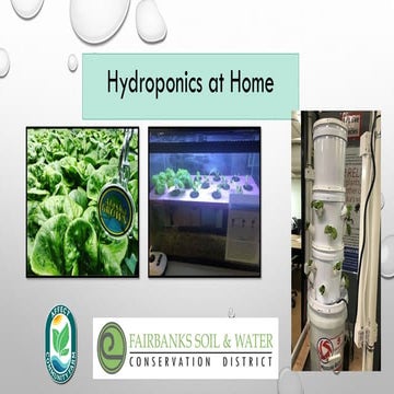 Hydroponics PPT 2.pdf liac ooo ;ockass slkcjac | PDF