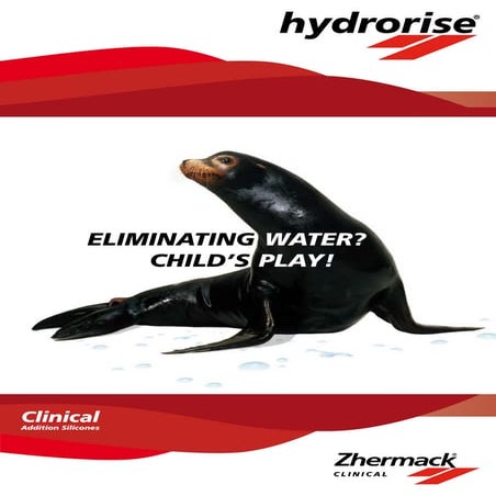 Hydrorise brochure en | PDF