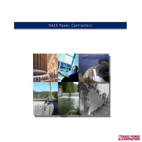 NAES Power Contractors Hydro Services | PPT