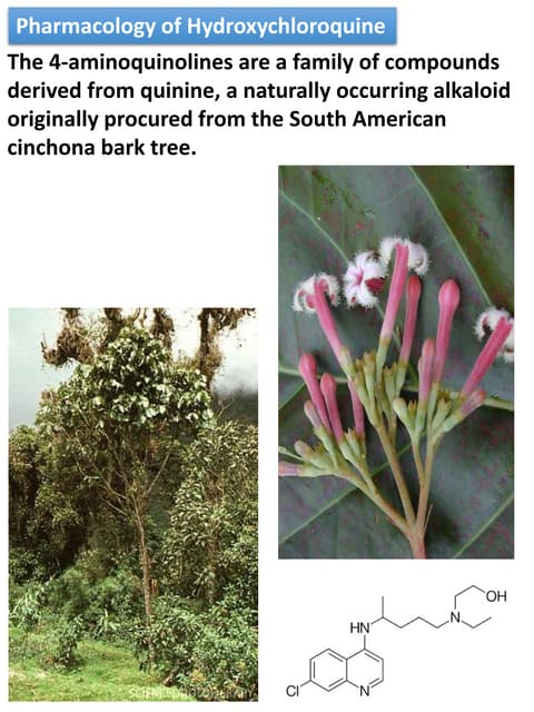 Chloroquine | PPT