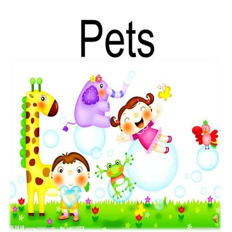 Year 1 Pets | PPTX