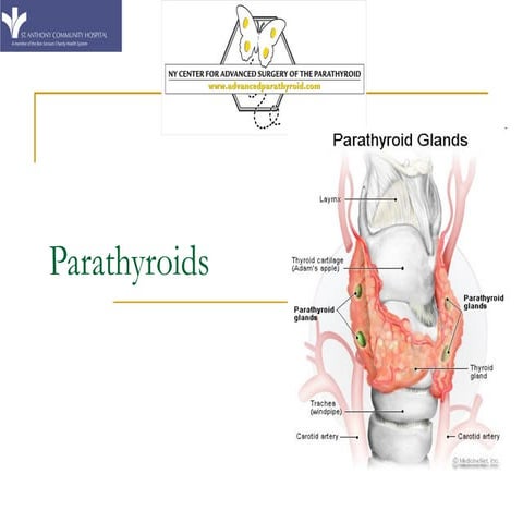 Hyperparathyroidism Presentation | PPT