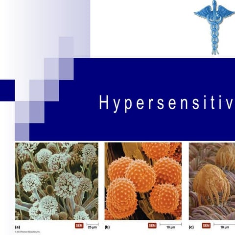 Hypersensitivity.ppt