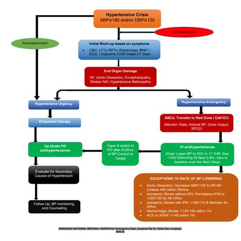 Hypertensive Crisis | PDF