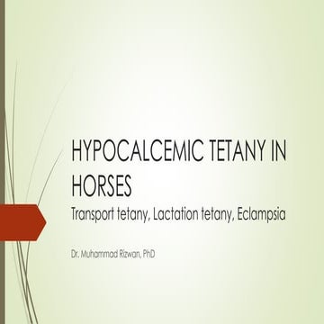 Hypocalcemic tetany in animals disease treatment | PDF