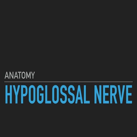 Hypoglossal nerve | PDF