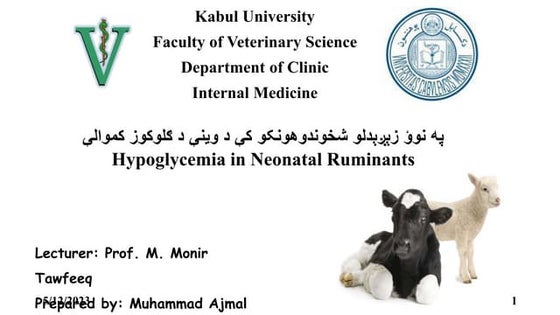 Care and Management of Neonate.pptx