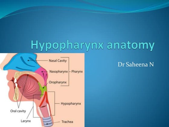 Anatomy of oral cavity and oropharynx | PPT