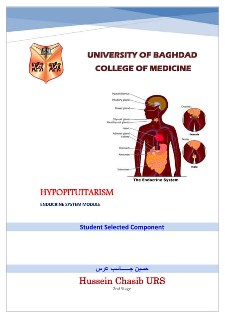 Pituitary gland (anatomy) | PPTX