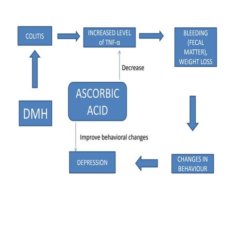 Hypothesis Image.pptx