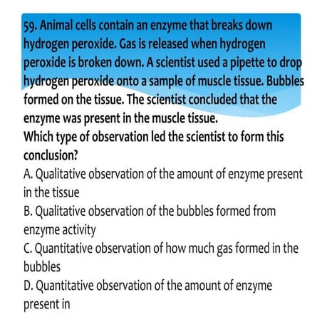 Hypothesis Writing | PDF
