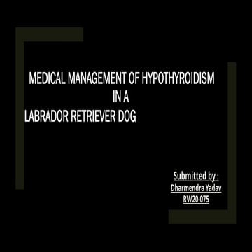 HYPOTHYROIDISM IN DOG including treatment, diagnosis | PPTX