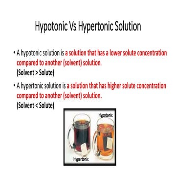 Hypotonic Vs Hypertonic Solution.pptx | Chemistry | Science
