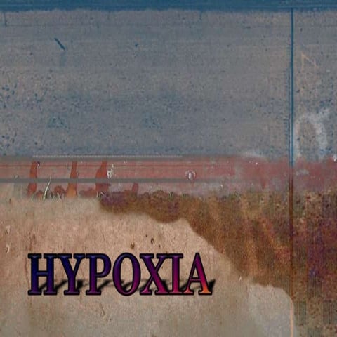 Abnormal types of respiration, HYPOXIA, ASPHYXIA, Cyanosis (The guyton ...