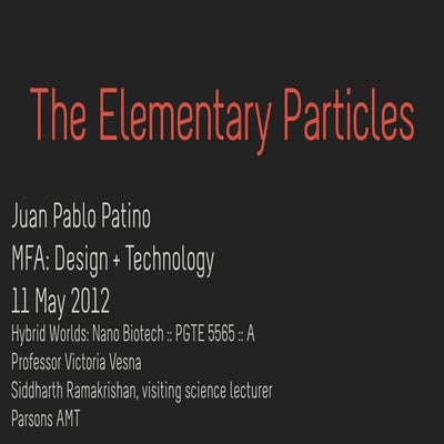 The Elementary Particles | PDF