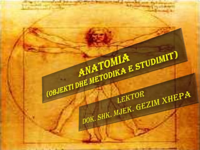 Skeleti i njeriut | PPTX