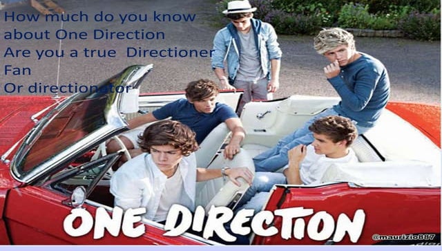 True Directioner Quotes