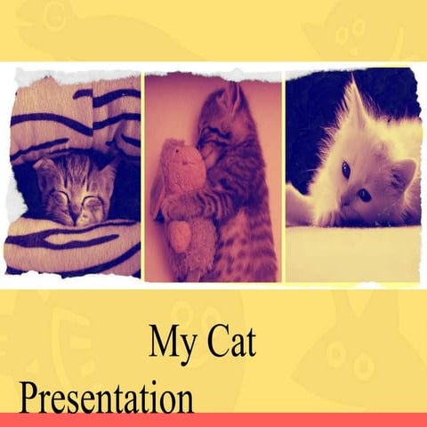 Cats Powerpoint | PPTX