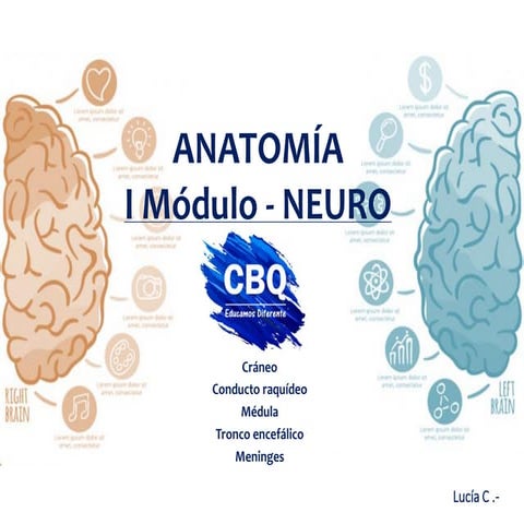 neuro (1).pdf