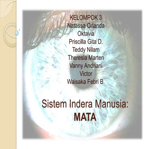 Mata | PPTX