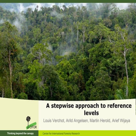 A stepwise approach to reference levels | PPT