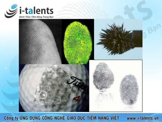 fingerprint characteristics | PPT