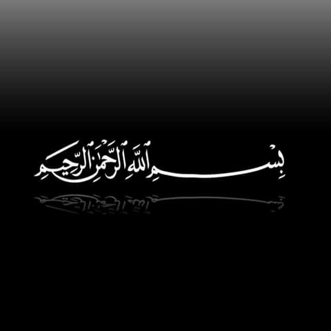 Ibrahim Fibres LTD | PPTX