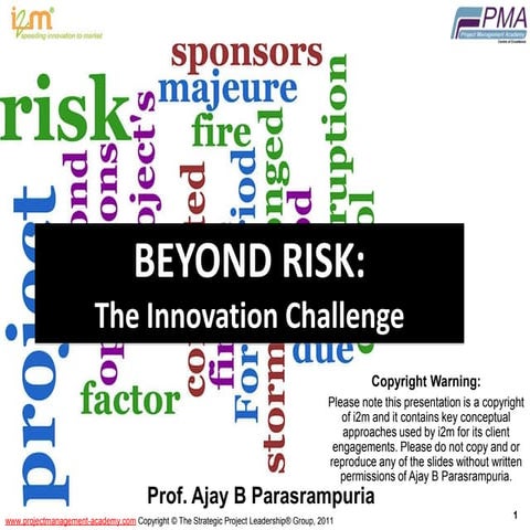 Beyond Risk | PPTX