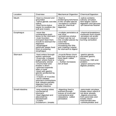 two types of digestion | PPTX
