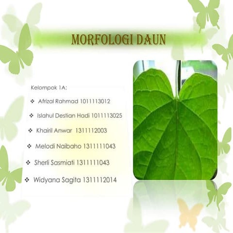Morfologi Daun | PPT