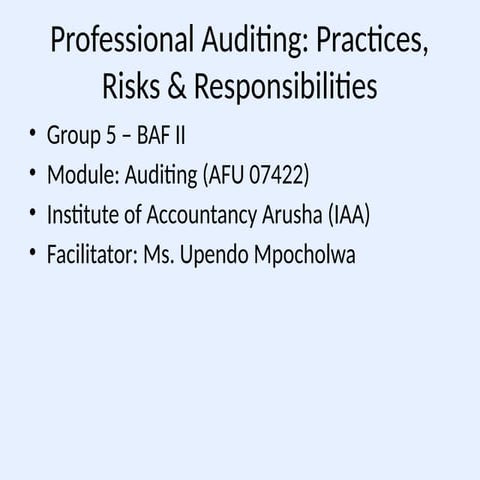 IAA_Group5_Auditing_Styled_Presentation.pptx